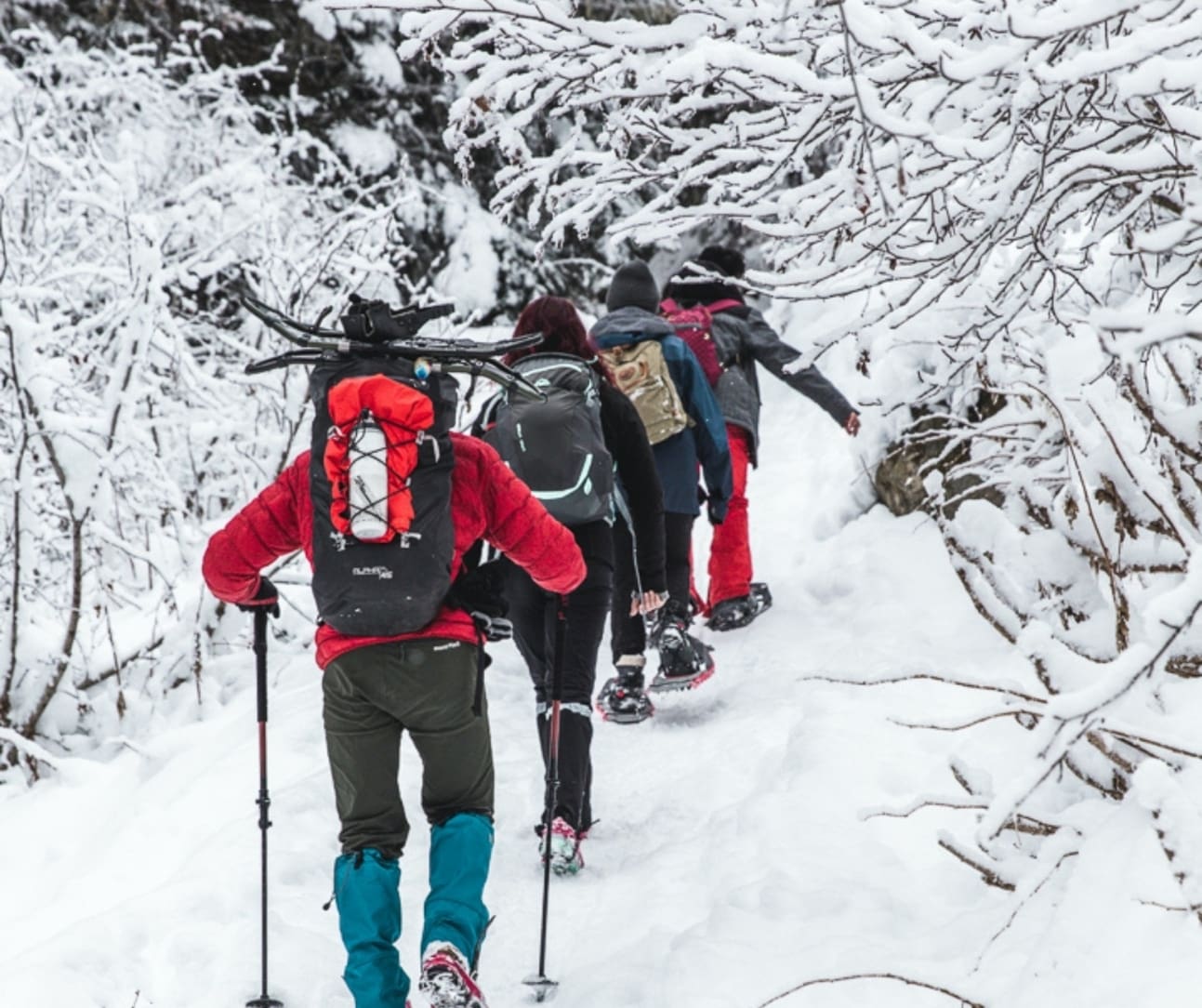7 BEST WINTER ACTIVITIES ON THE NORTH SHORE OF LAKE SUPERIOR | Island ...